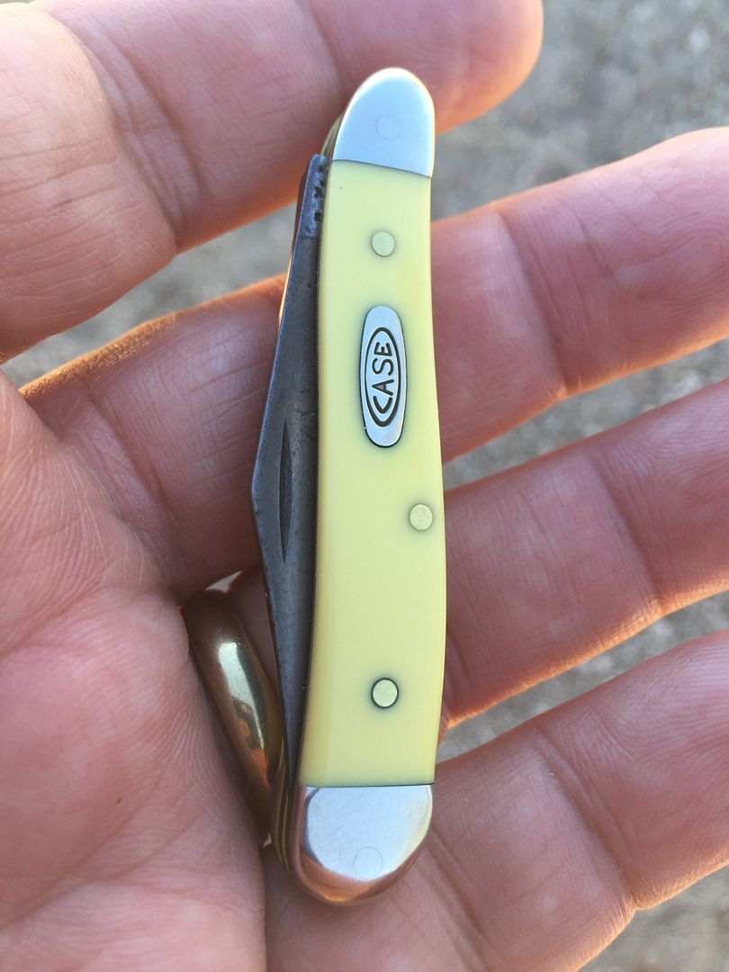 What "Traditional Knife" are ya totin' today? | Page 3552 | BladeForums.com